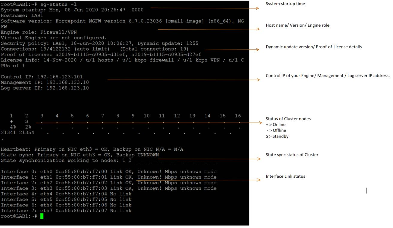 Health Check on Secure SD-WAN Engine