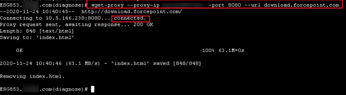 How to use CLI nc and wget-proxy commands to test appliance ...