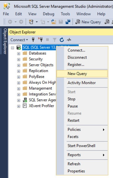 Identifying the SQL Server Version