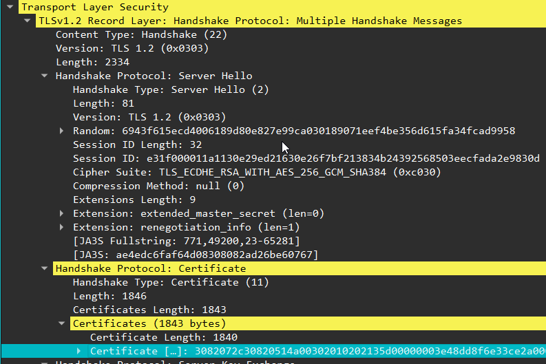 Extracting a Certificate from a Packet Trace